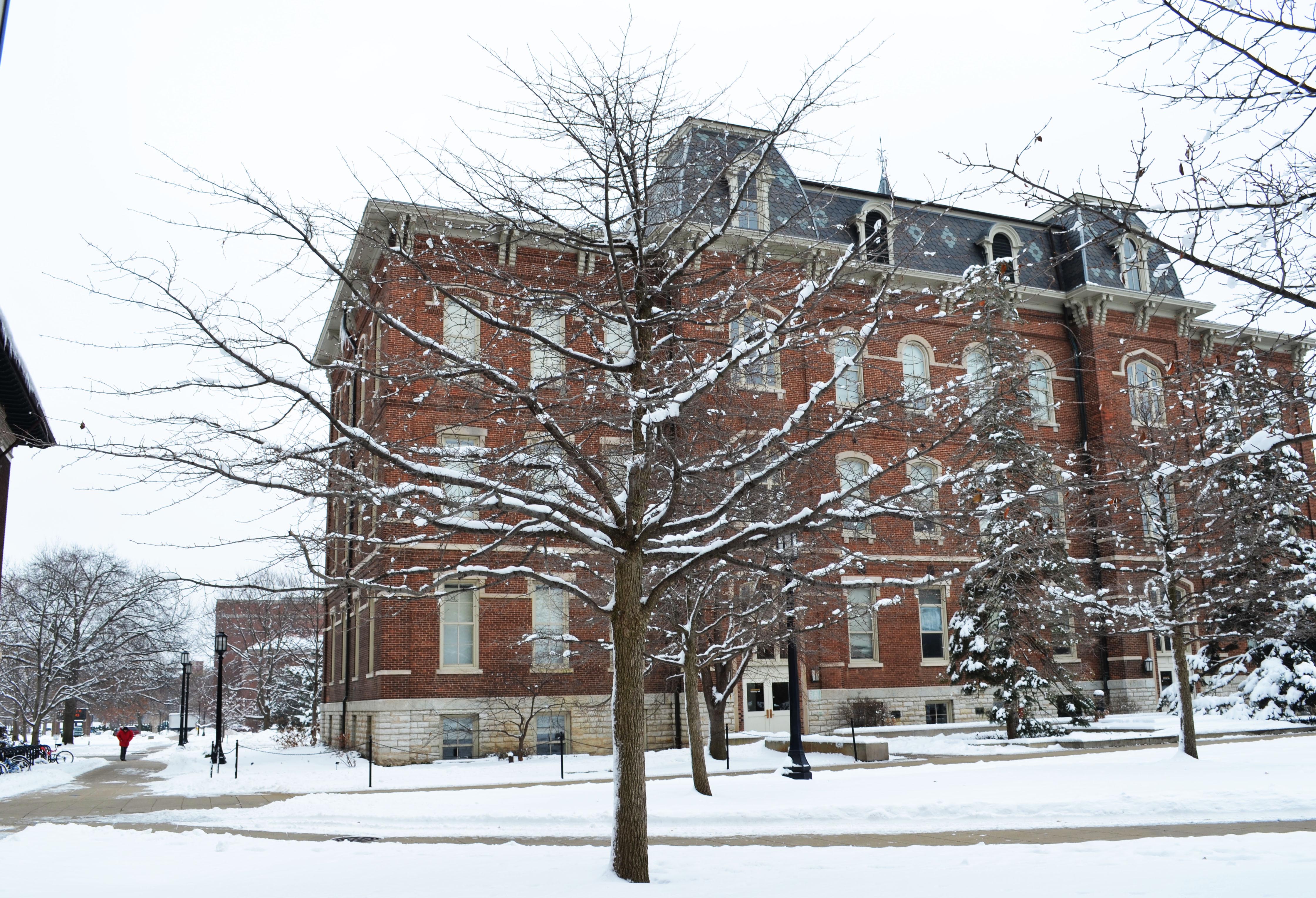 Nyssa sylvatica – Purdue Arboretum Explorer