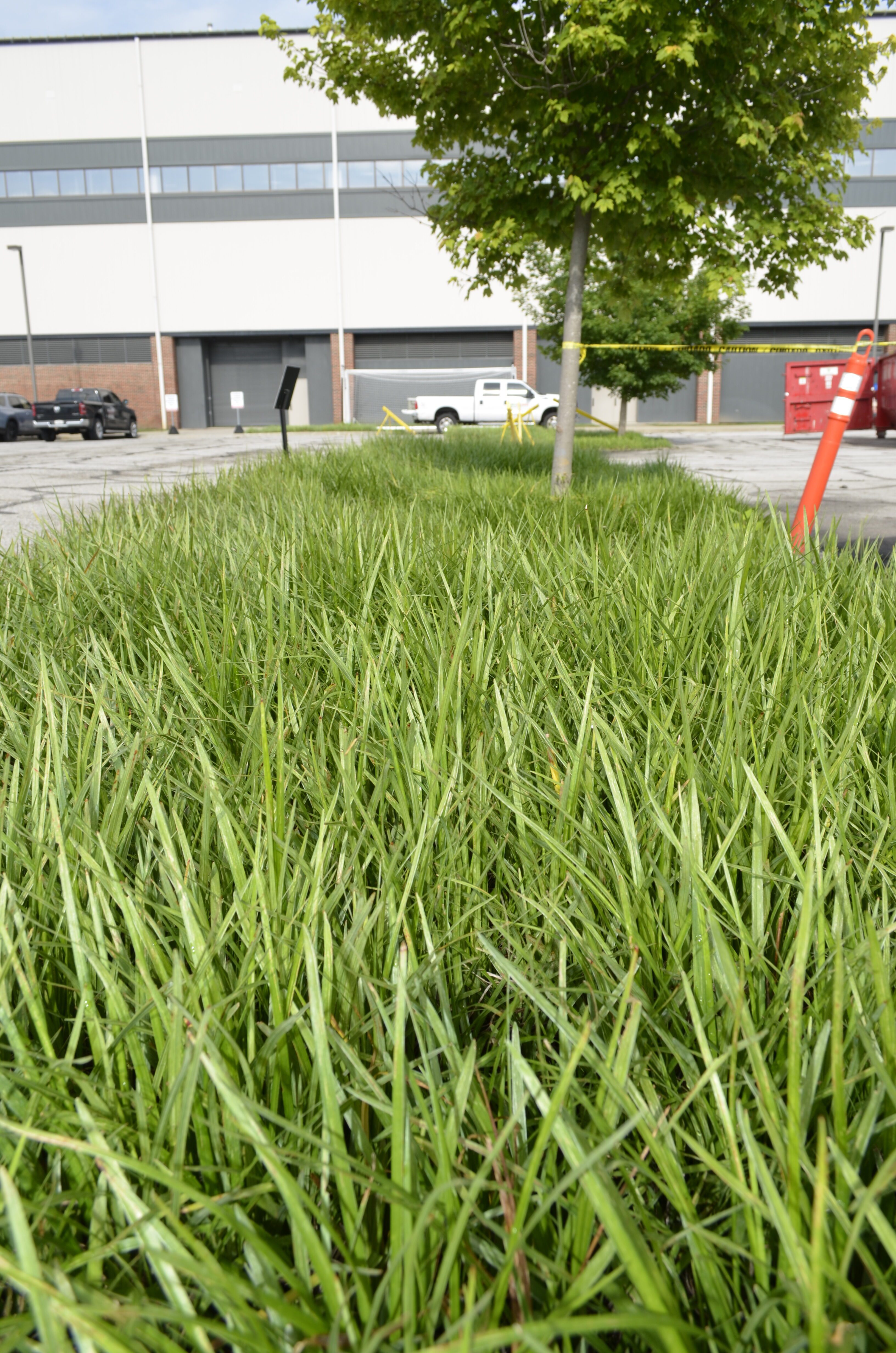 Mollenkopf Athletic Center Parking Lot – Purdue Arboretum Explorer