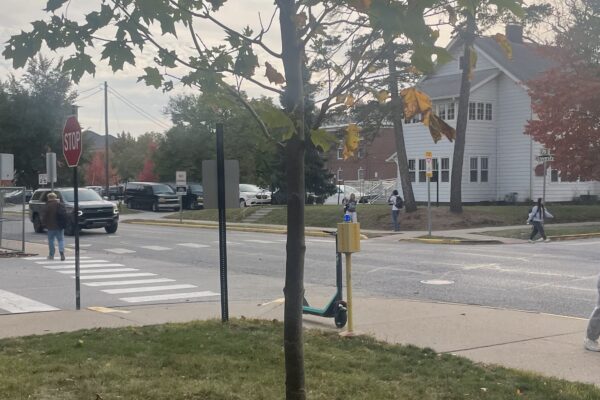 Acer saccharum ‘JFS-KW8’ [Sold as Autumn Fest®] – Purdue Arboretum Explorer