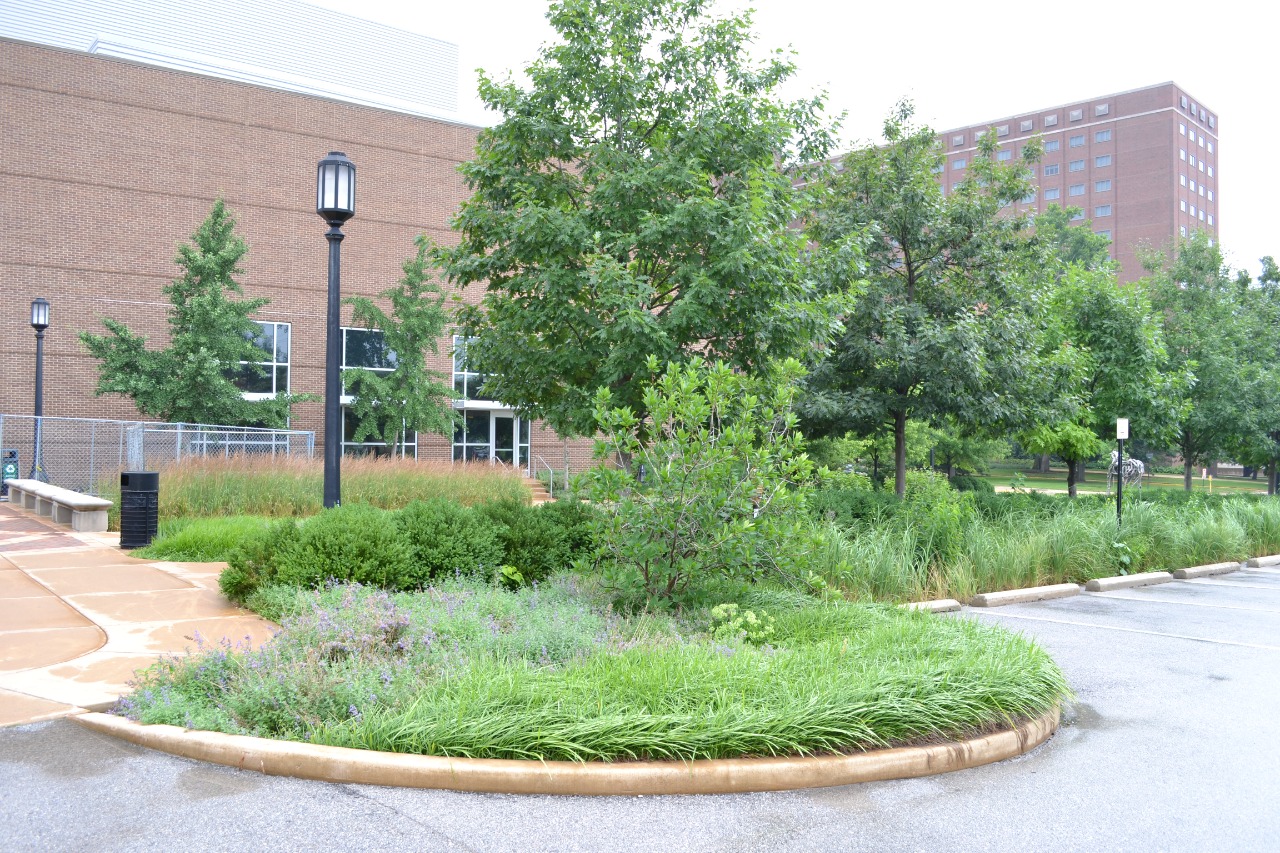 Yue-Kong Pao Hall Bioswales – Purdue Arboretum Explorer