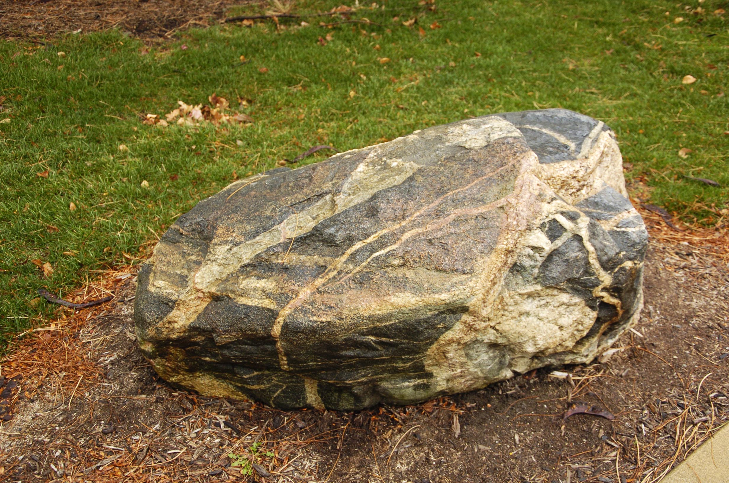 Amphibolite with Granite Inclusions – Purdue Arboretum Explorer