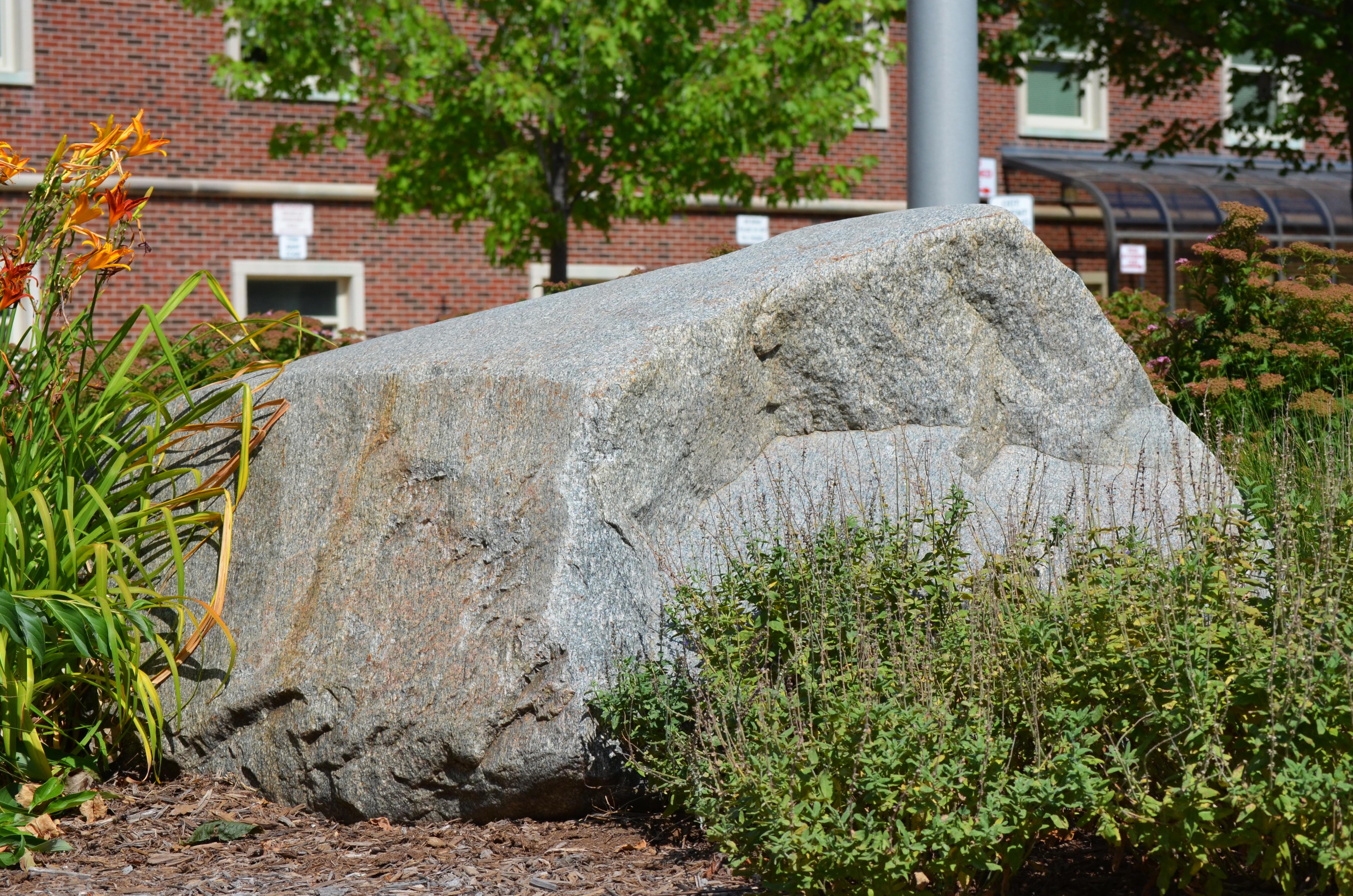 Granitic Foliated Gneiss – Purdue Arboretum Explorer