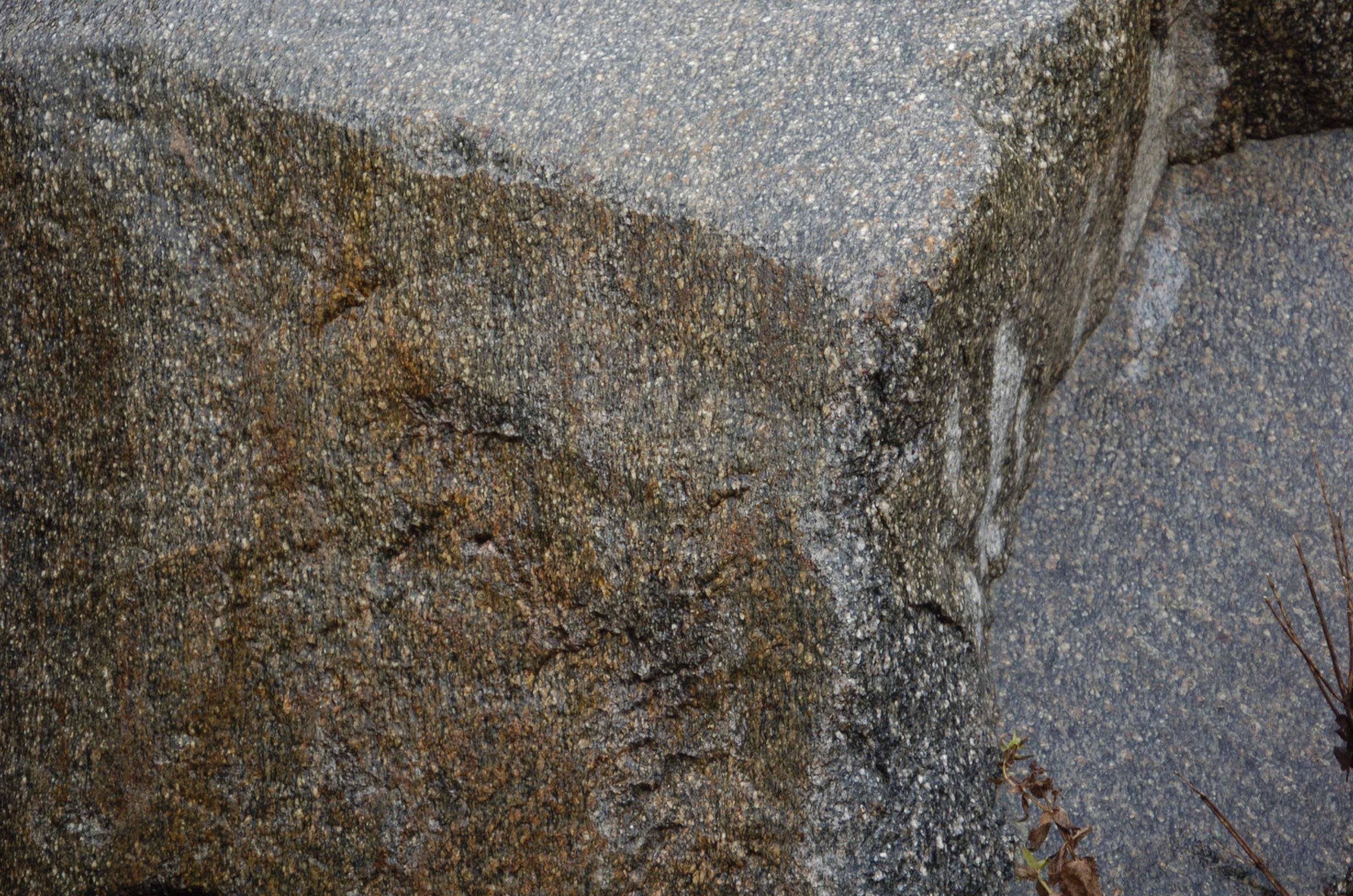 Granitic Foliated Gneiss – Purdue Arboretum Explorer