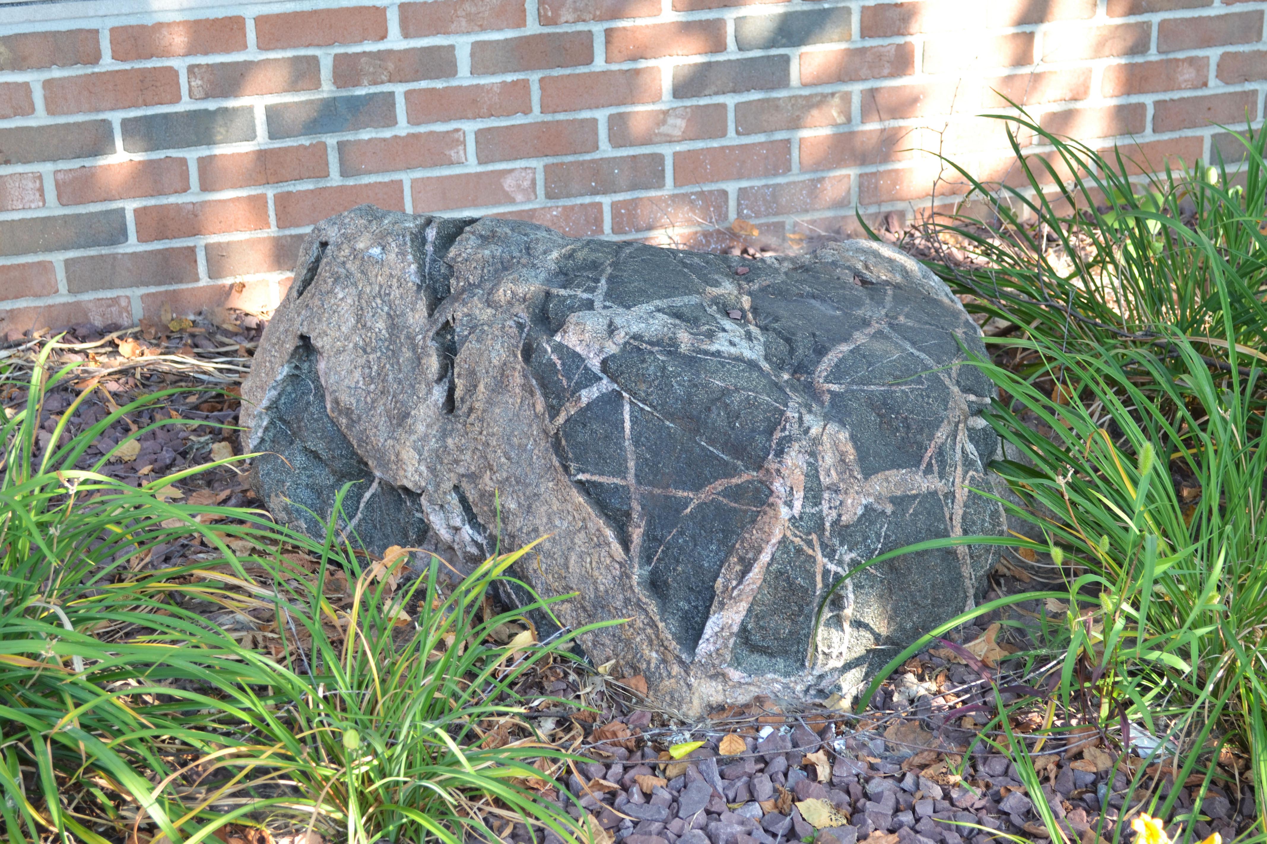 Amphibolite with Granitic Inclusions – Purdue Arboretum Explorer
