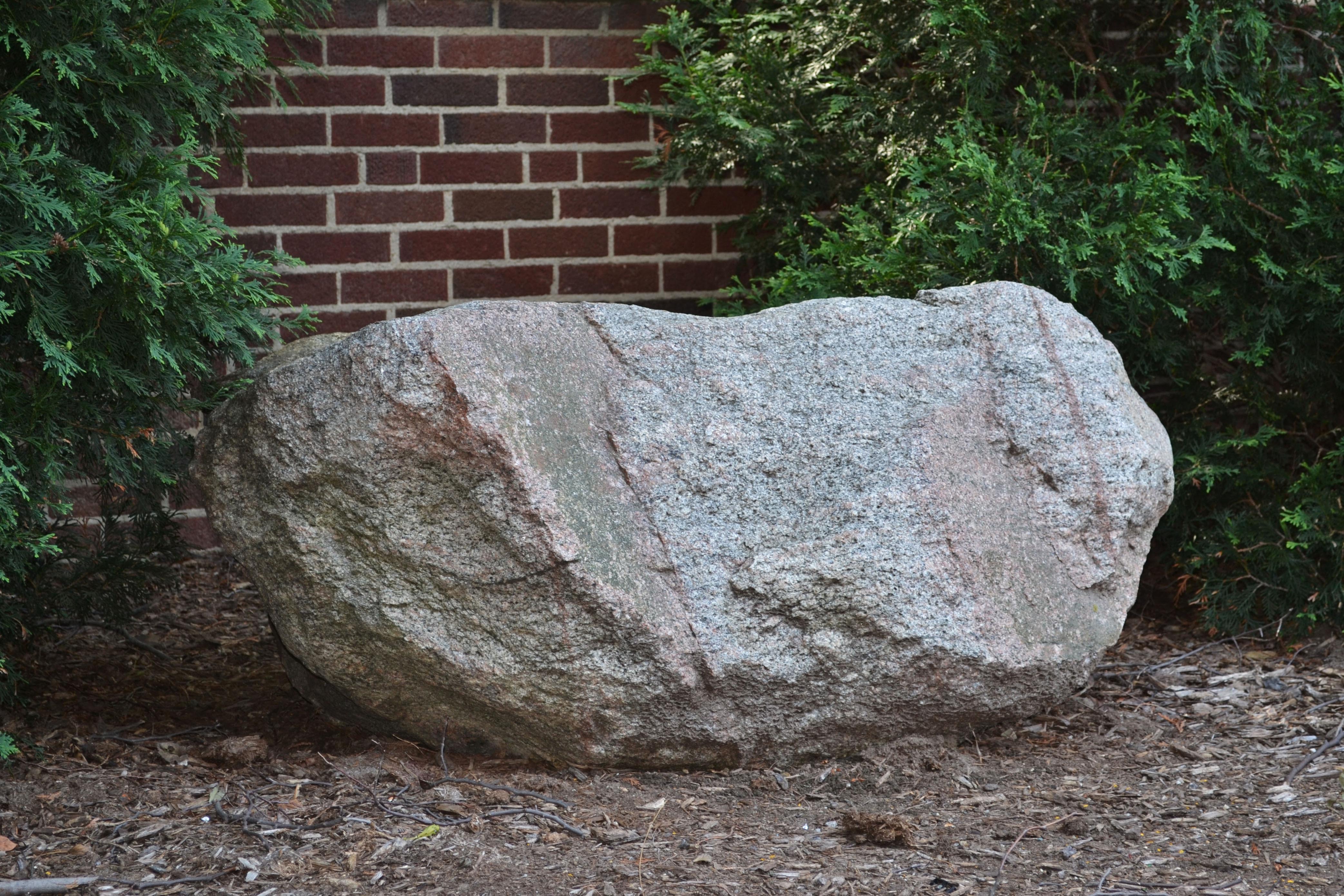 Granite Gneiss – Purdue Arboretum Explorer