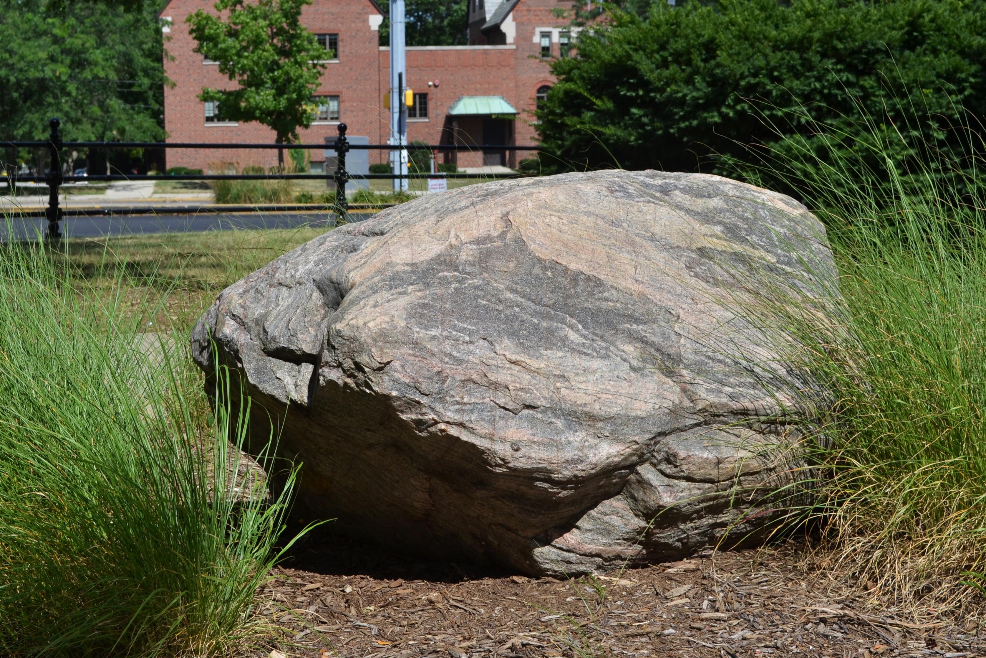 Granite Gneiss/Schist – Purdue Arboretum Explorer