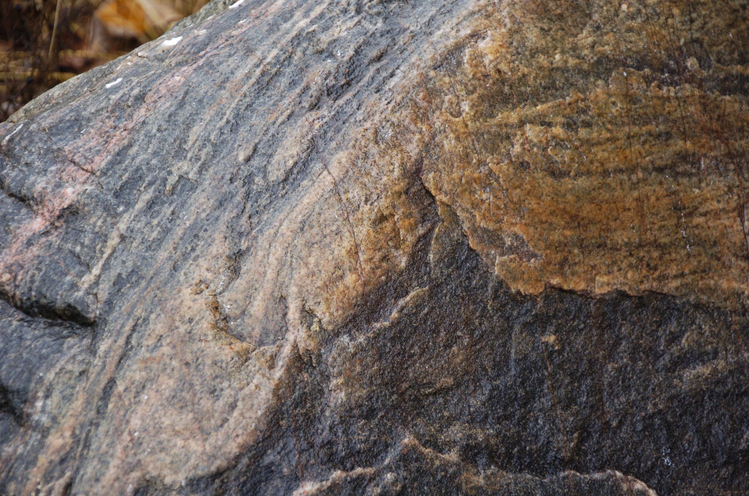 Granite Gneiss/Schist – Purdue Arboretum Explorer
