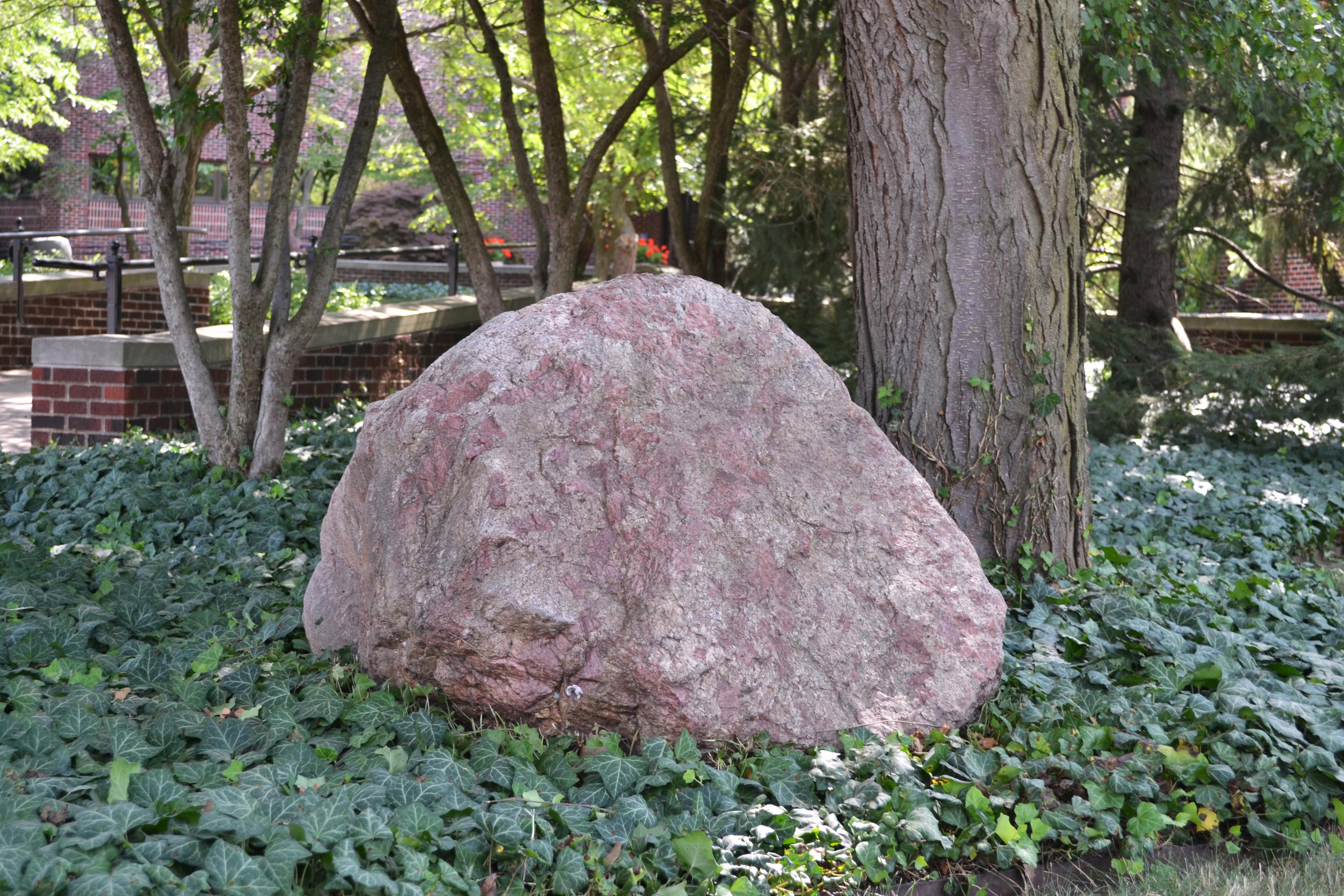 Metaconglomerate – Purdue Arboretum Explorer