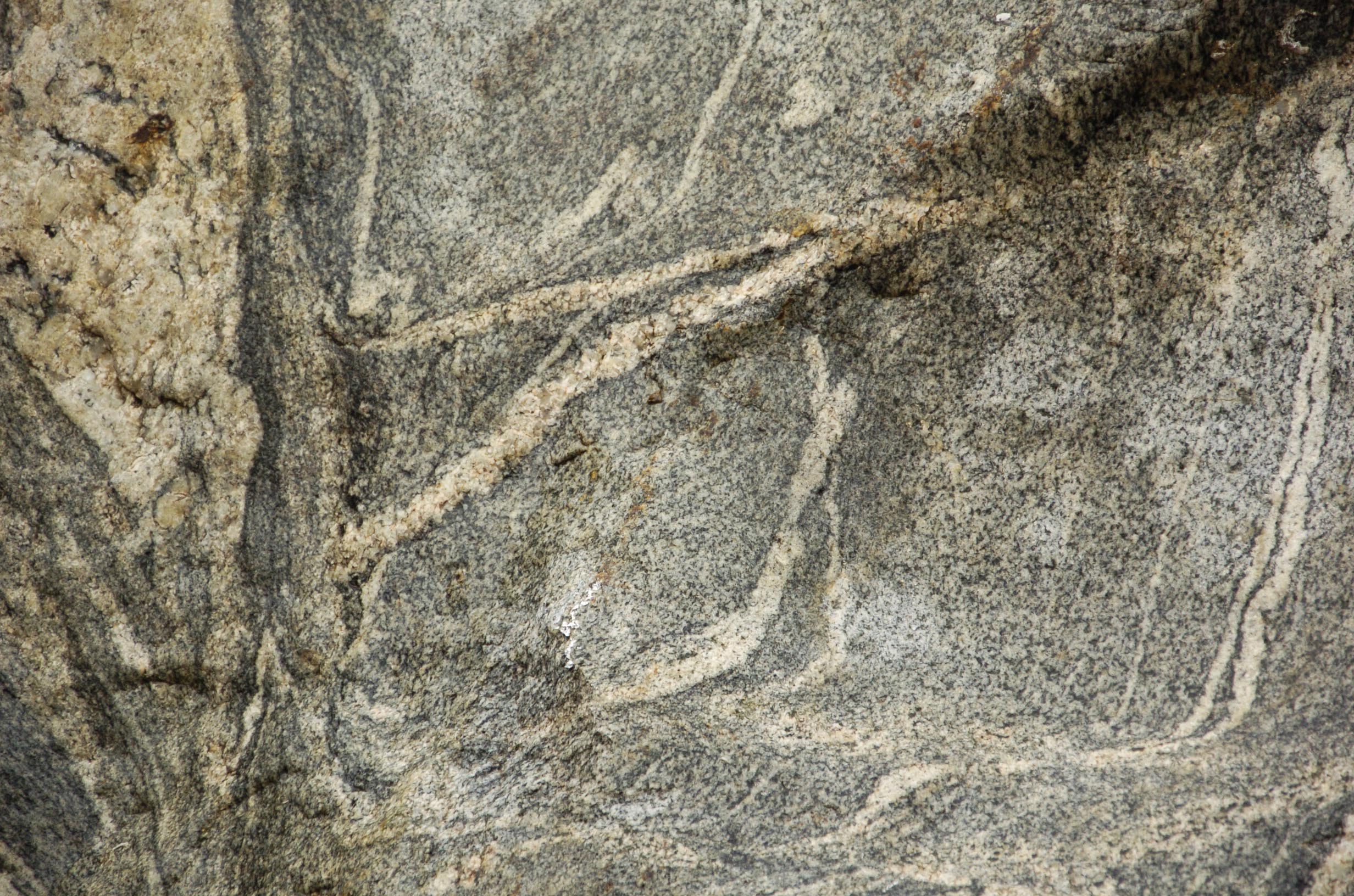 Granite Gneiss – Purdue Arboretum Explorer