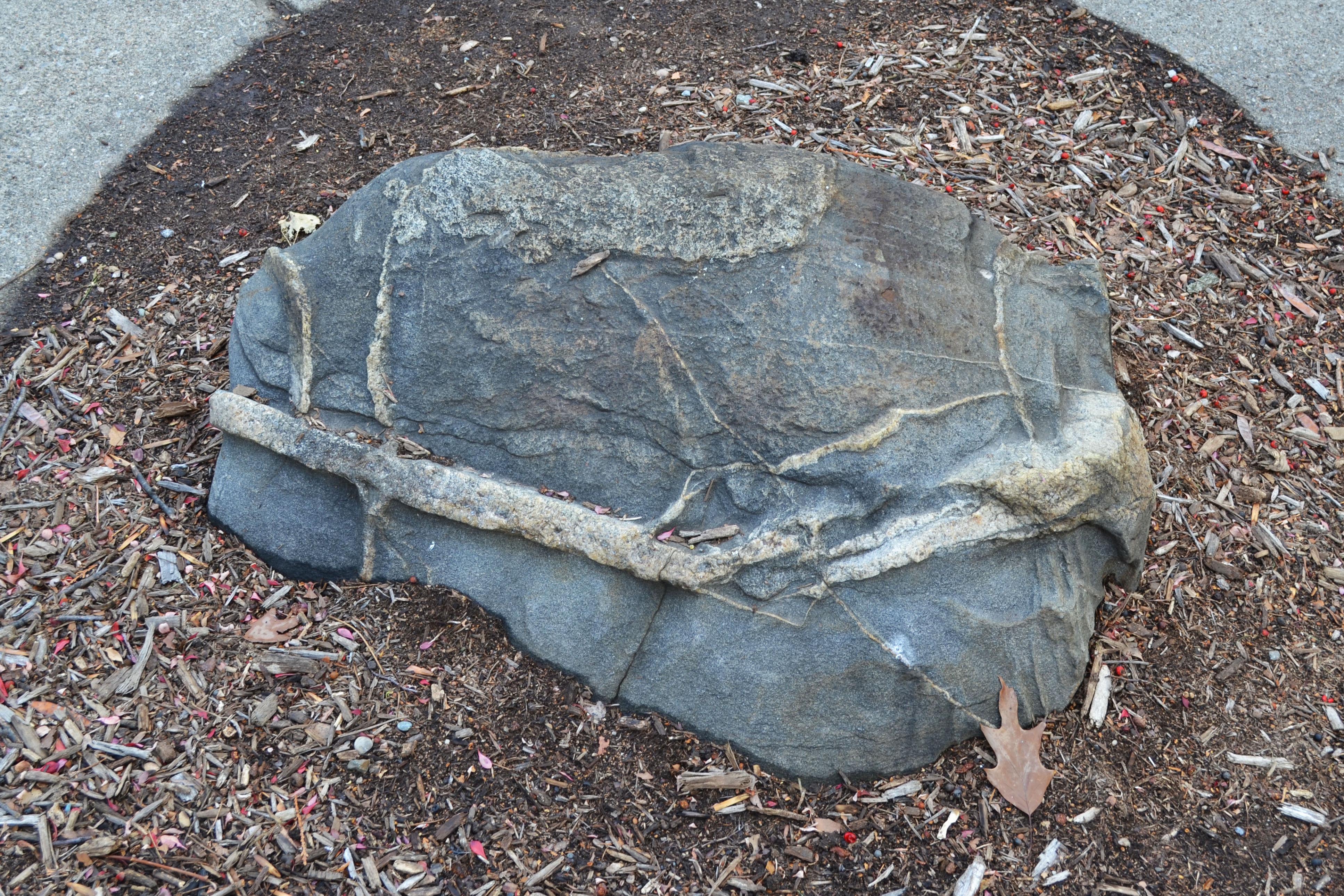 Hornfels – Purdue Arboretum Explorer