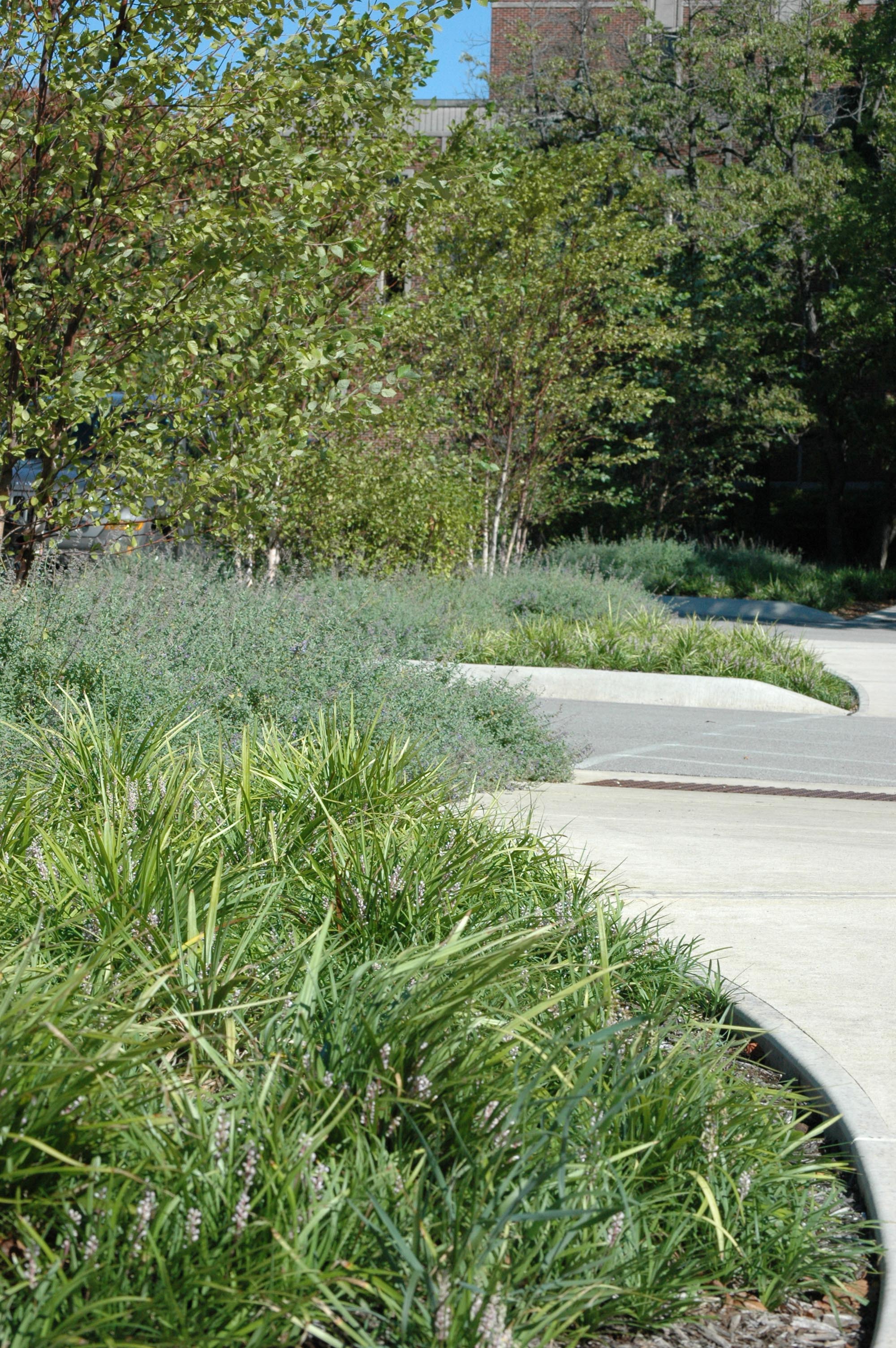 Armory Parking Lot Pervious Pavement and Bioswales – Purdue Arboretum ...