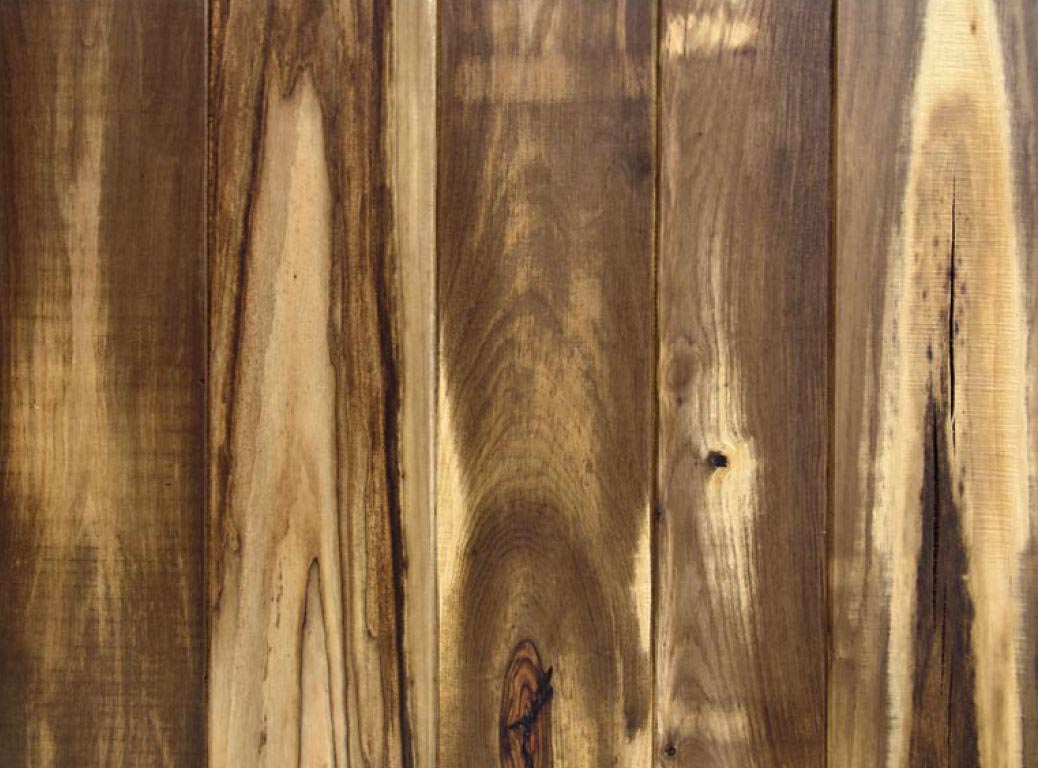 FNR Hardwood – Persimmon – Purdue Arboretum Explorer