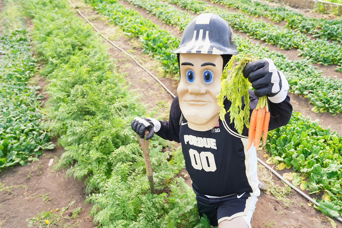 Purdue Student Farm – Purdue Arboretum Explorer