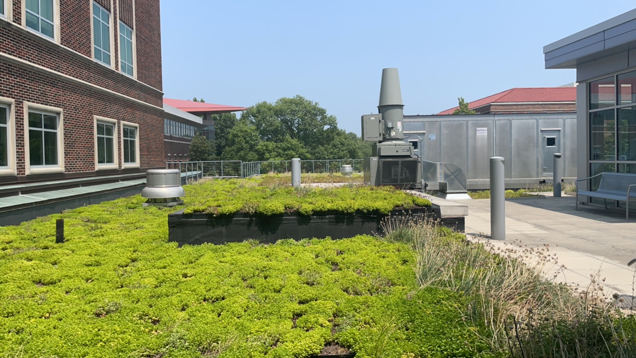 M. Katherine Banks Green Roof Laboratory – Purdue Arboretum Explorer