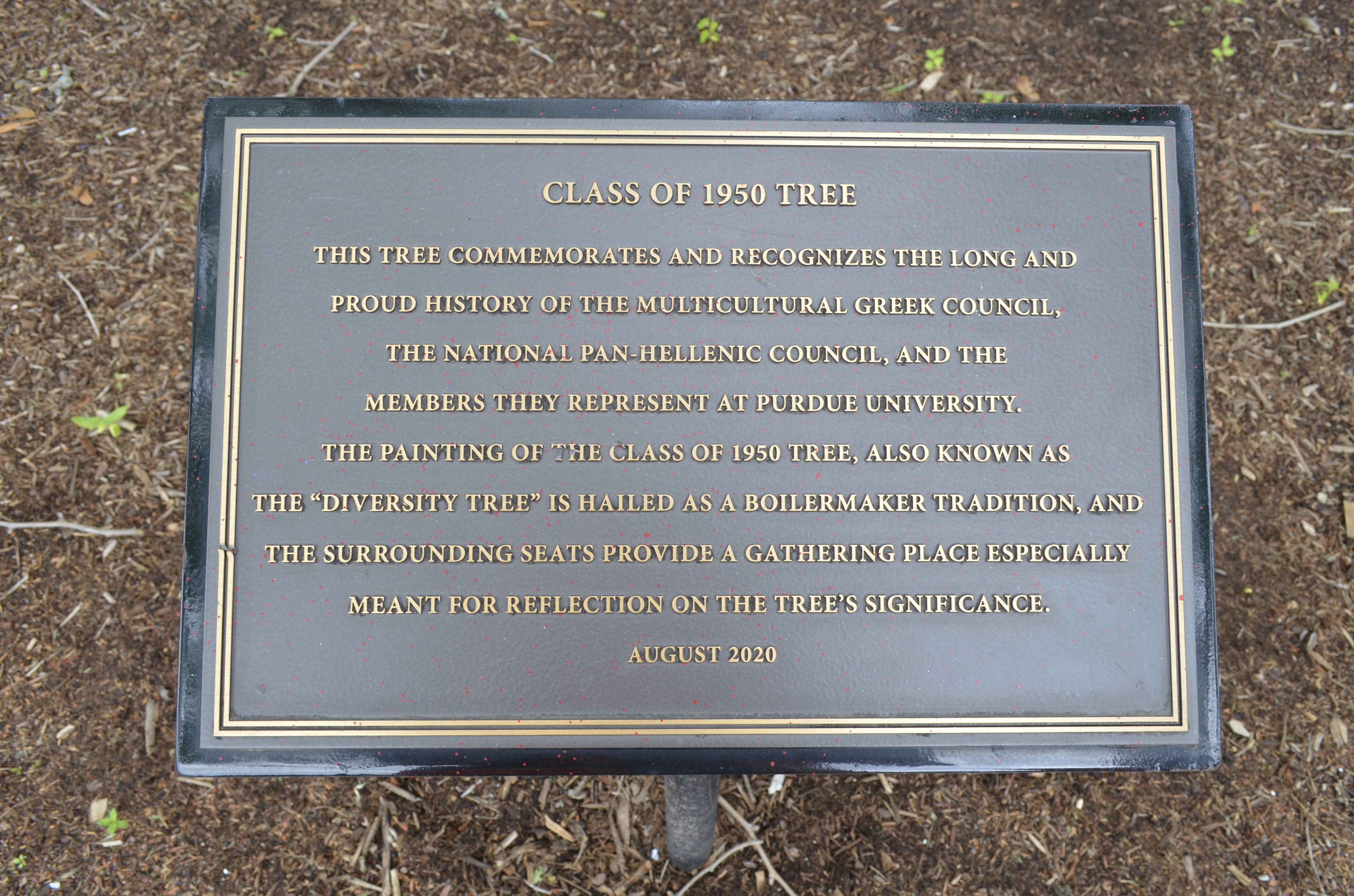 Diversity Tree – Purdue Arboretum Explorer