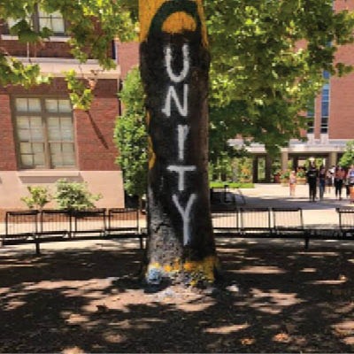 Diversity Tree – Purdue Arboretum Explorer