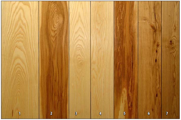 FNR Hardwood – White Ash – Purdue Arboretum Explorer