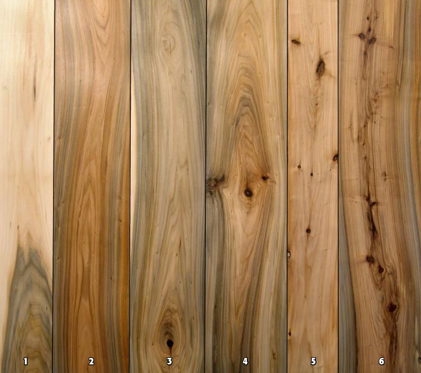 FNR Hardwood – Black Locust – Purdue Arboretum Explorer