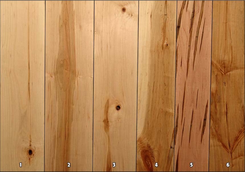FNR Hardwood – Soft Maple – Purdue Arboretum Explorer