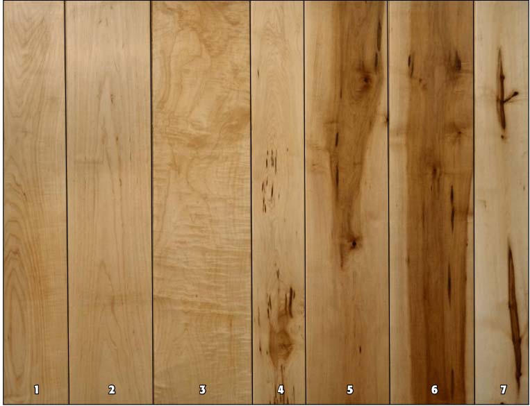 FNR Hardwood – Sugar Maple – Purdue Arboretum Explorer