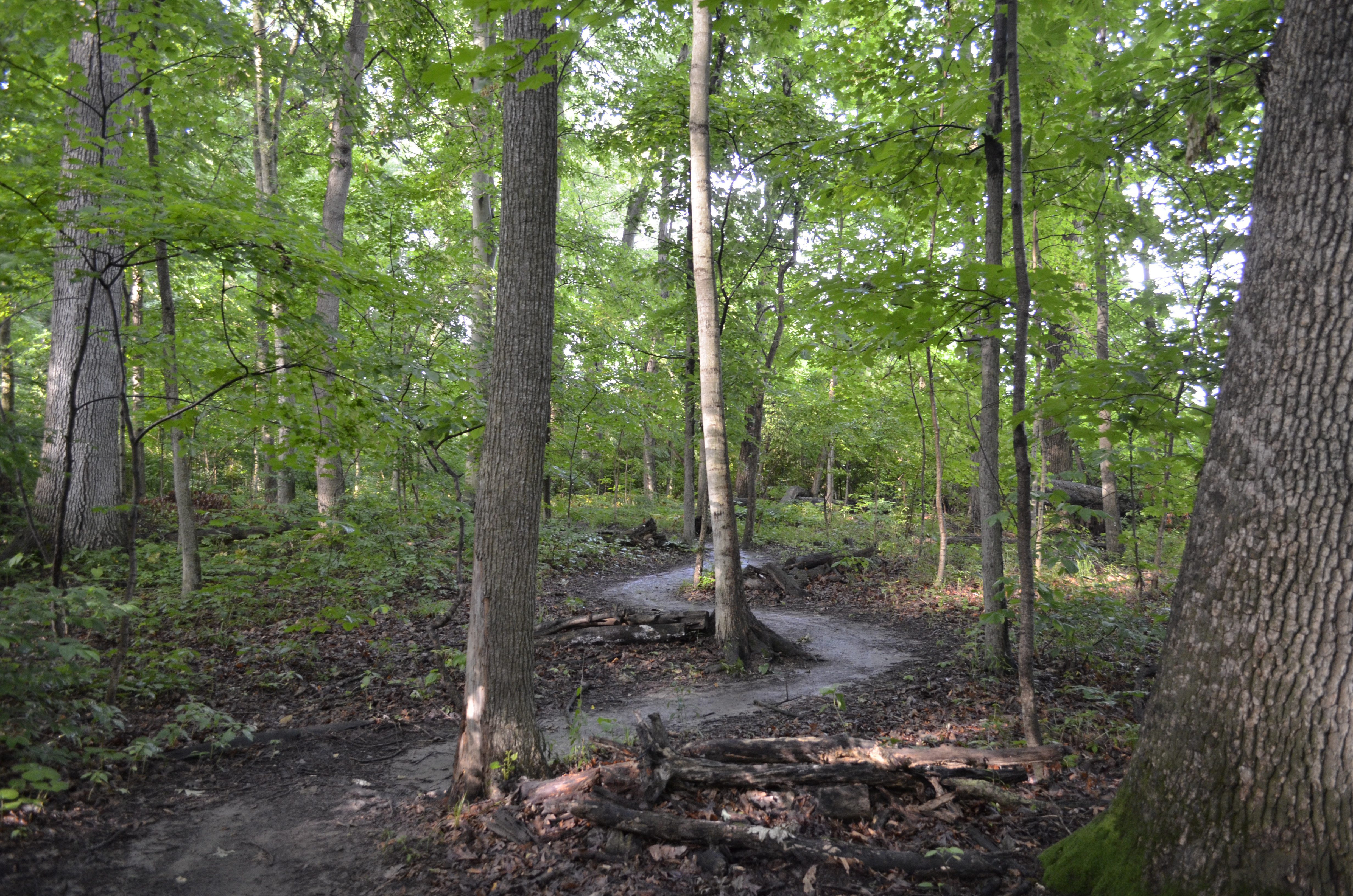 McCormick Woods – Purdue Arboretum Explorer