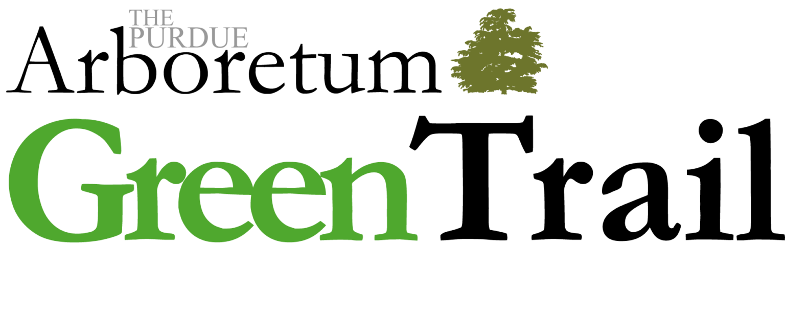 Explore Campus Tree Trails – Purdue Arboretum