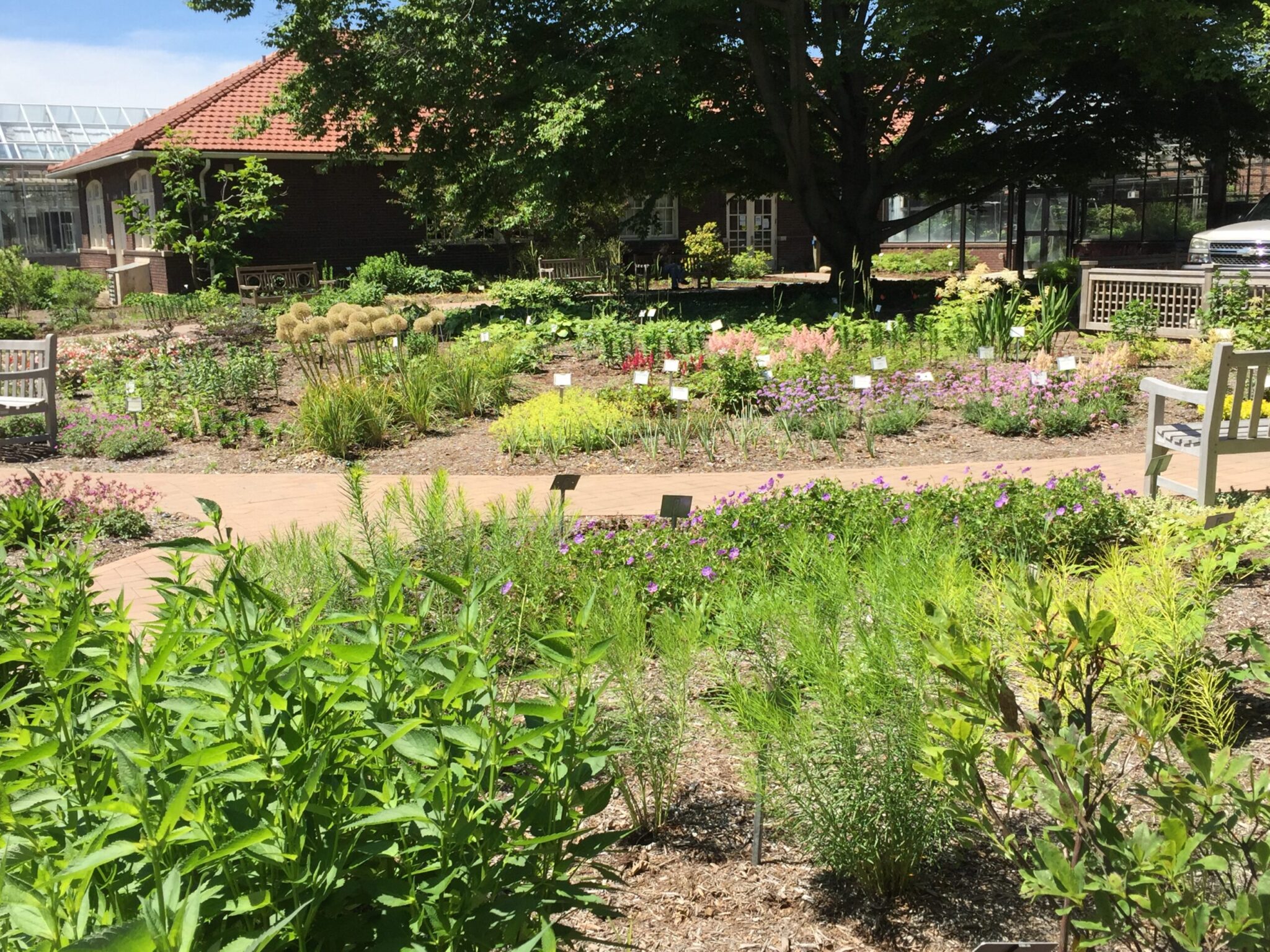 Jules Janick Horticulture Garden – Purdue Arboretum