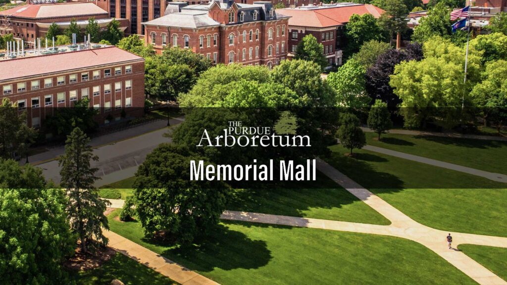Explore Campus Tree Trails – Purdue Arboretum