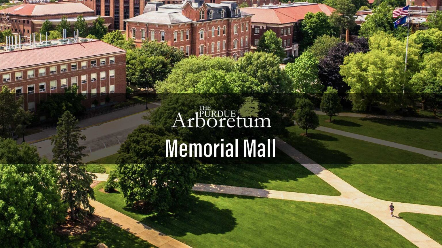 Explore Campus Tree Trails – Purdue Arboretum