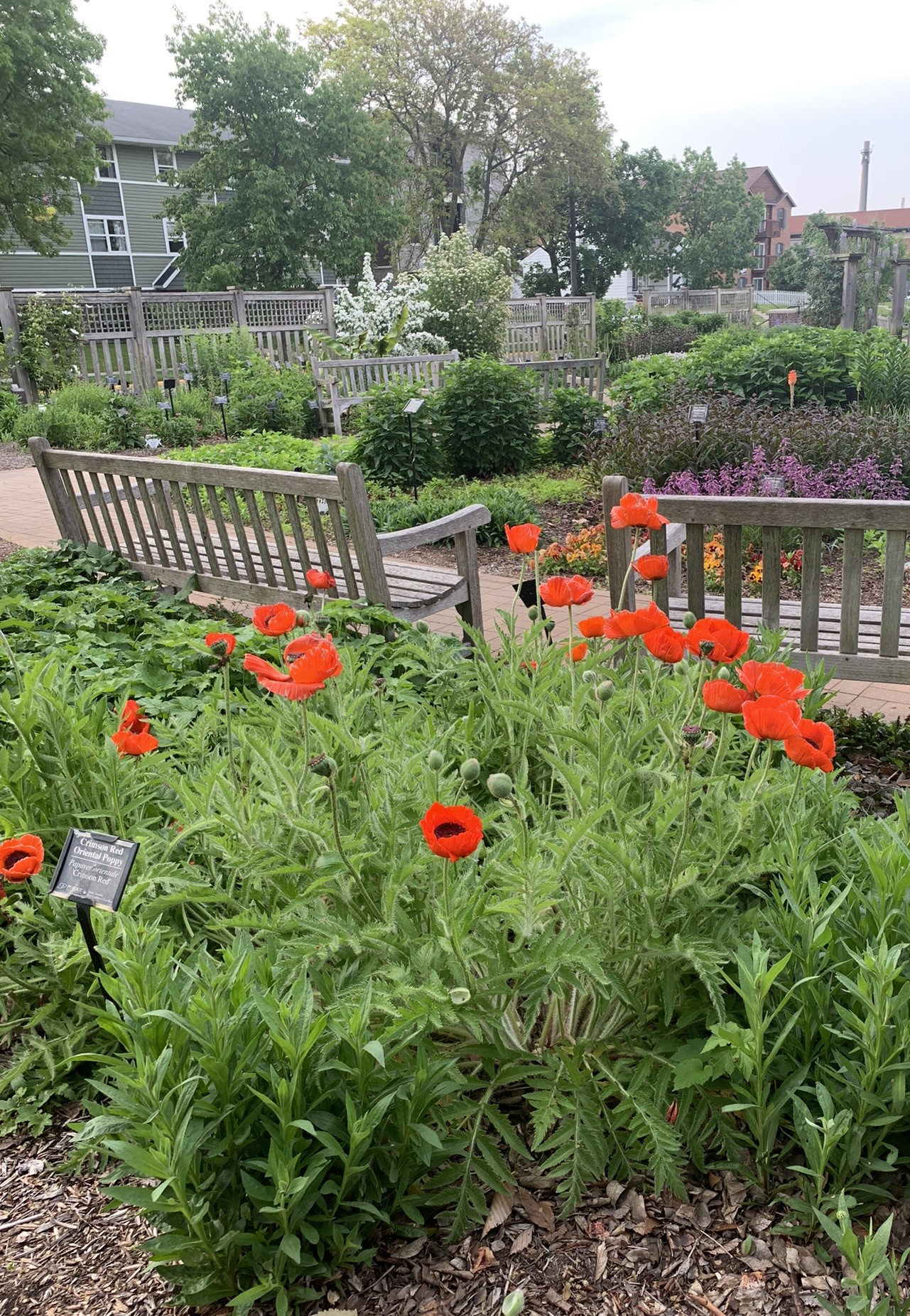 Jules Janick Horticulture Garden – Purdue Arboretum
