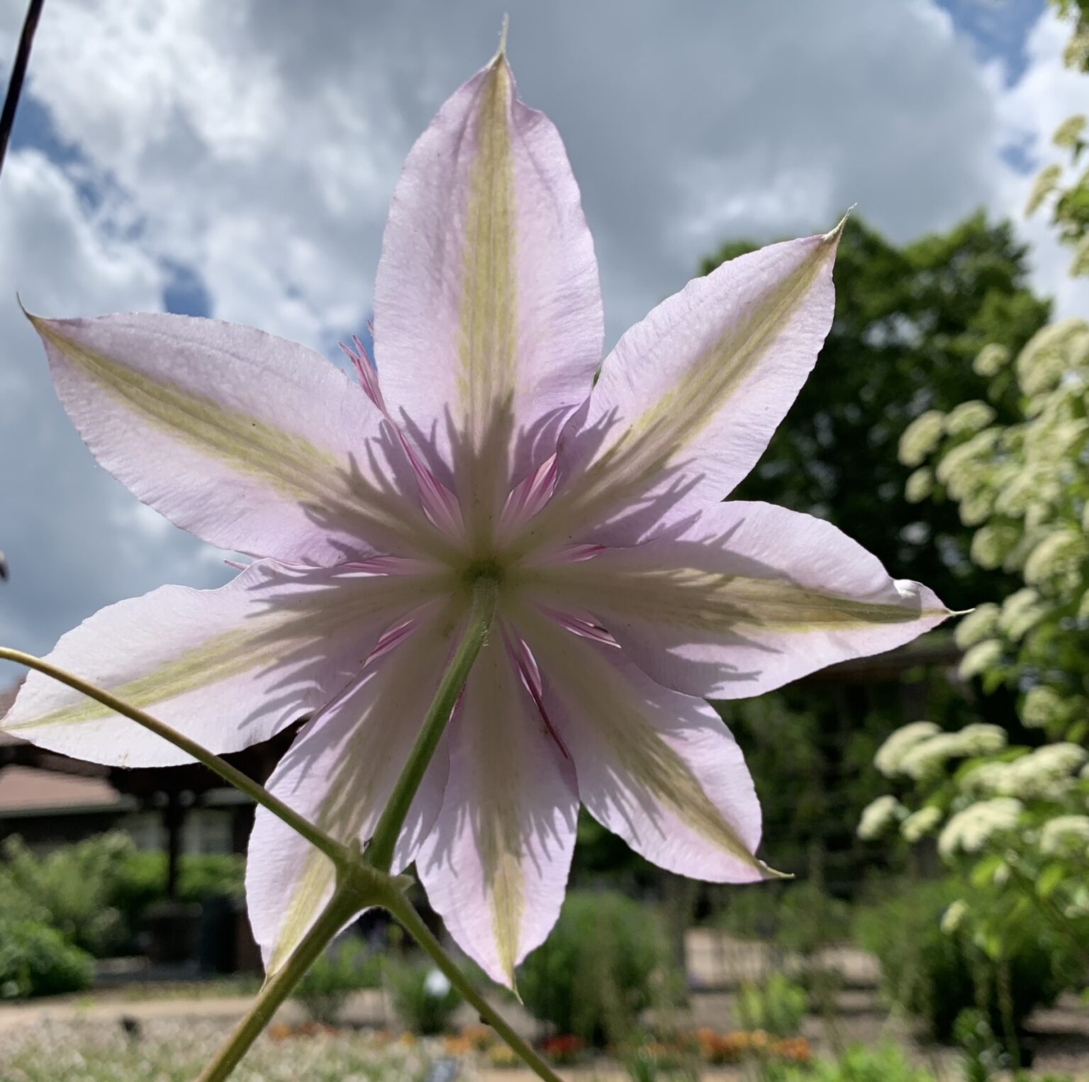 Jules Janick Horticulture Garden – Purdue Arboretum