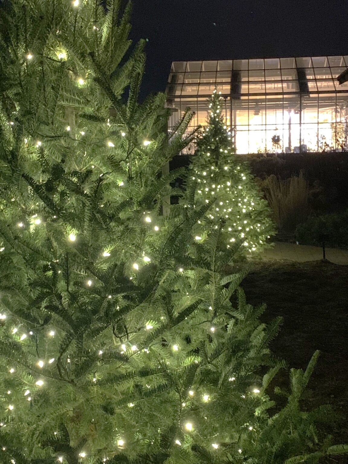 Jules Janick Horticulture Garden – Purdue Arboretum