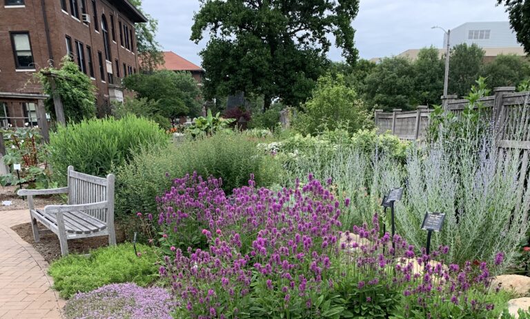 Jules Janick Horticulture Garden – Purdue Arboretum