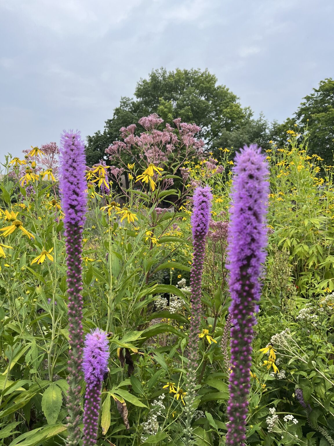 Jules Janick Horticulture Garden – Purdue Arboretum