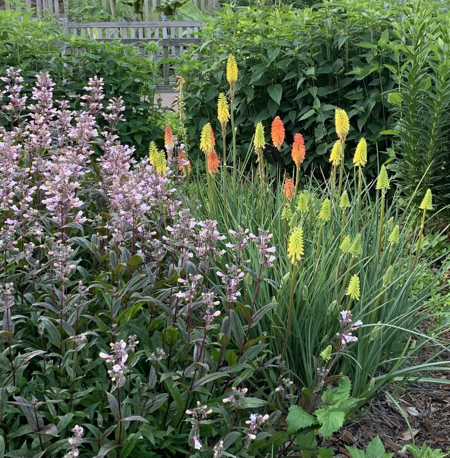 Jules Janick Horticulture Garden – Purdue Arboretum